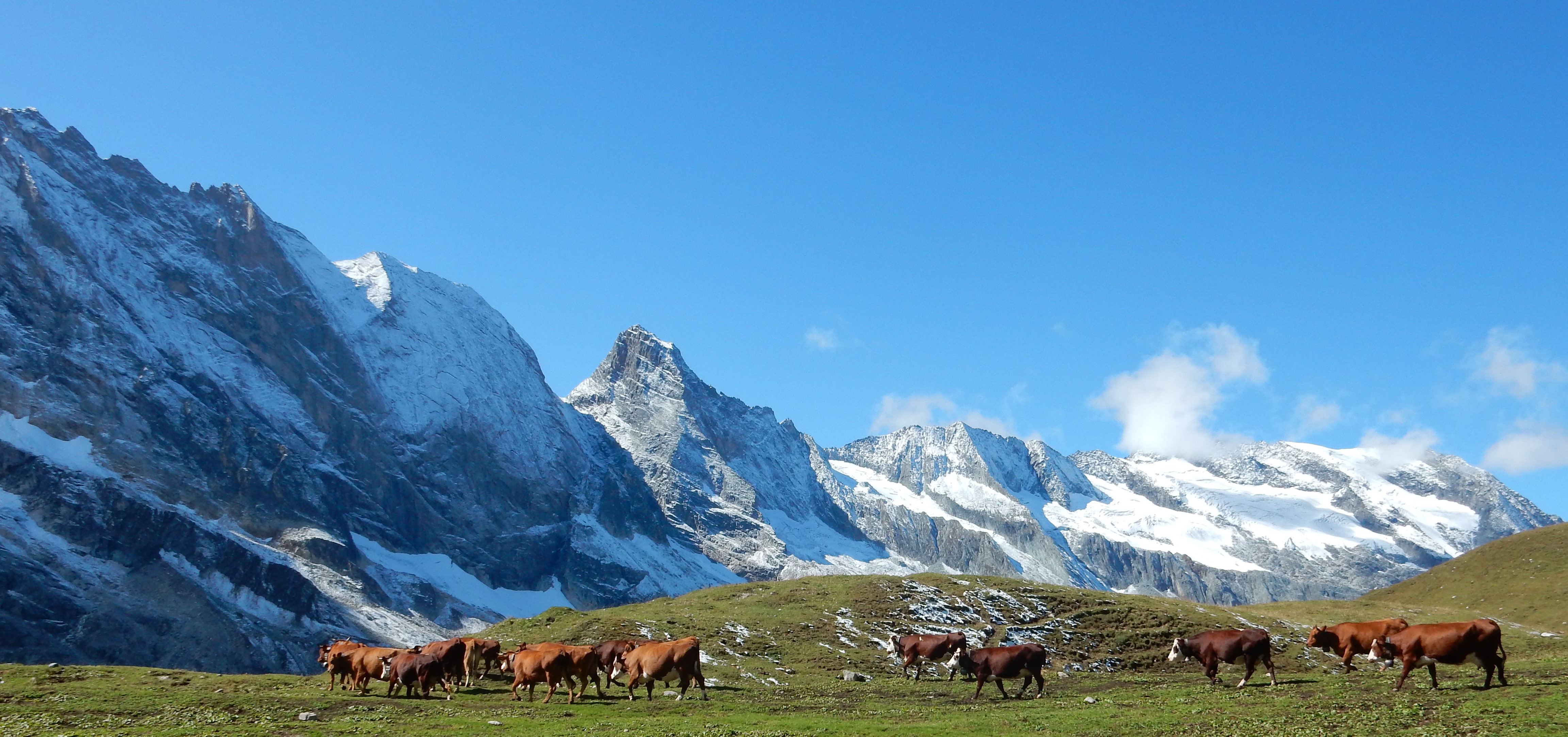 28 20170917 COL PALET (14).JPG