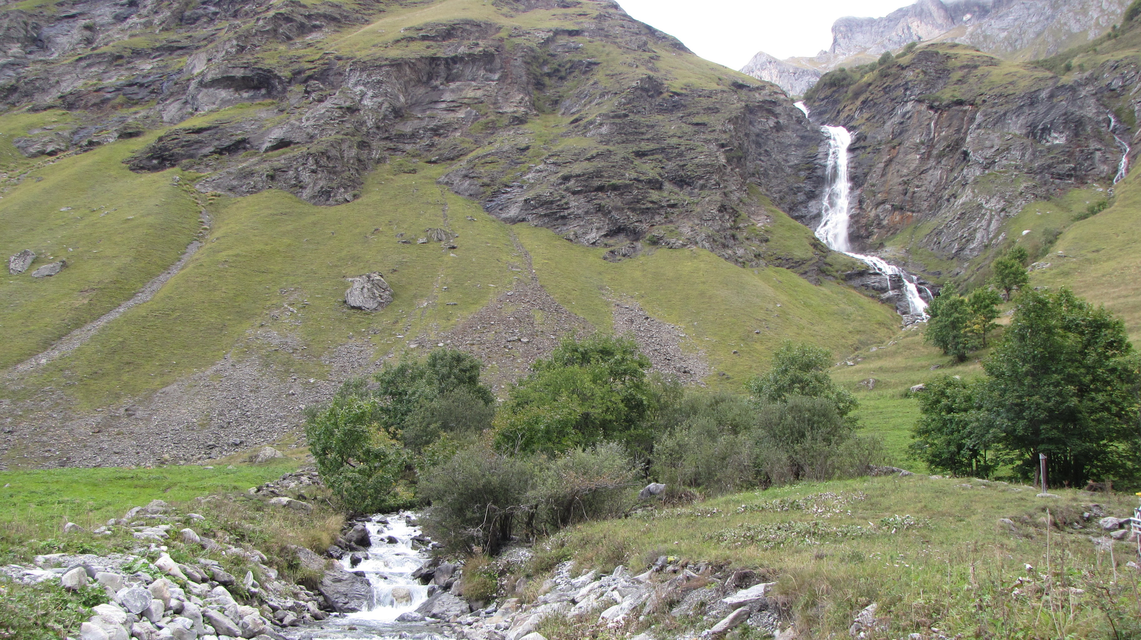 28 20170917 COL PALET (31).JPG