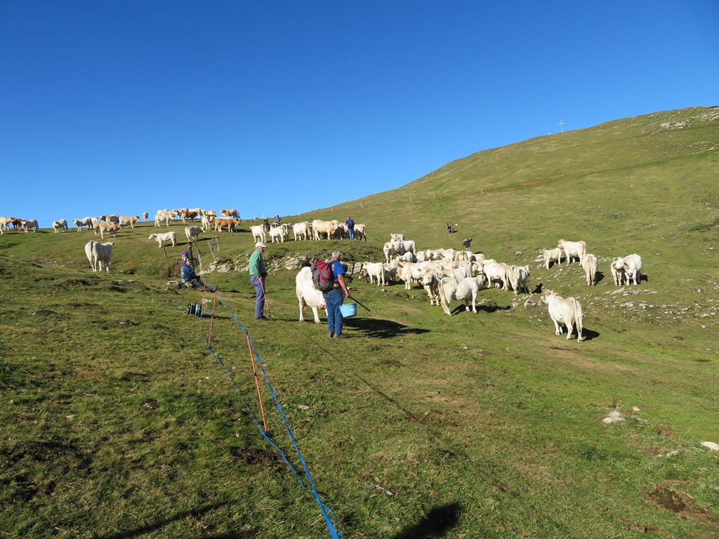 2019 09 29 Le Pinet (14).JPG