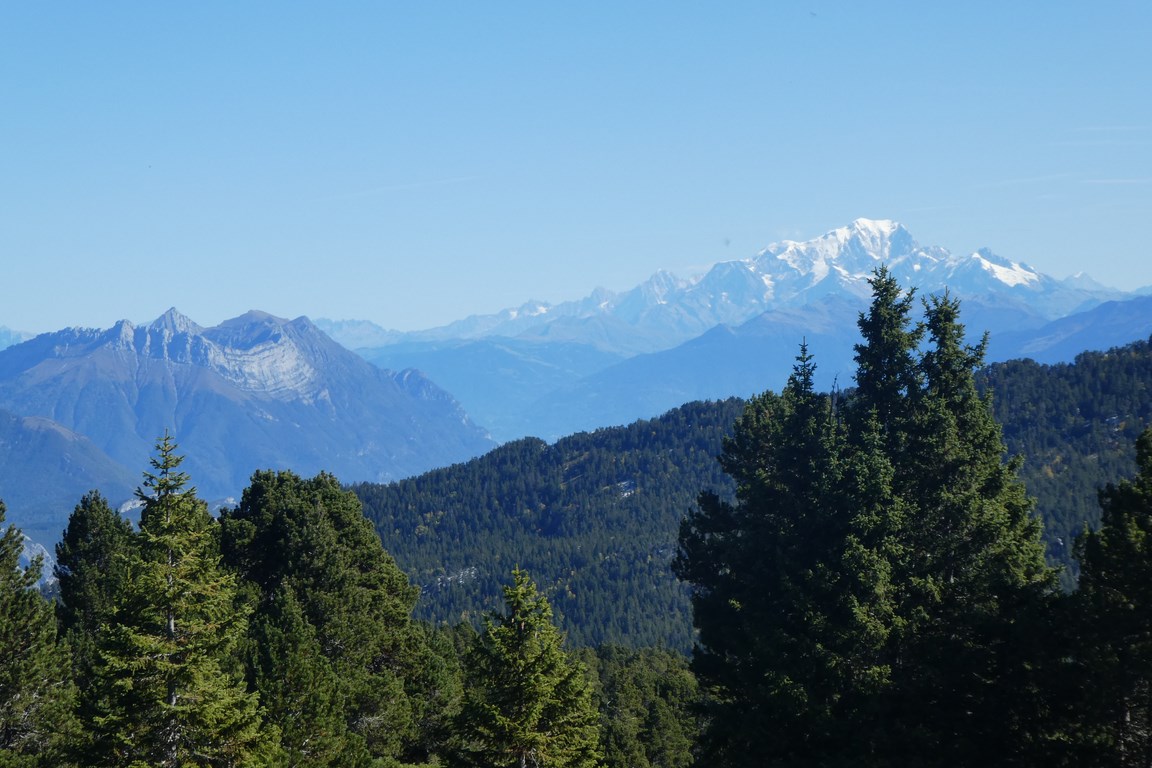 2019 09 29 Le Pinet (34).JPG