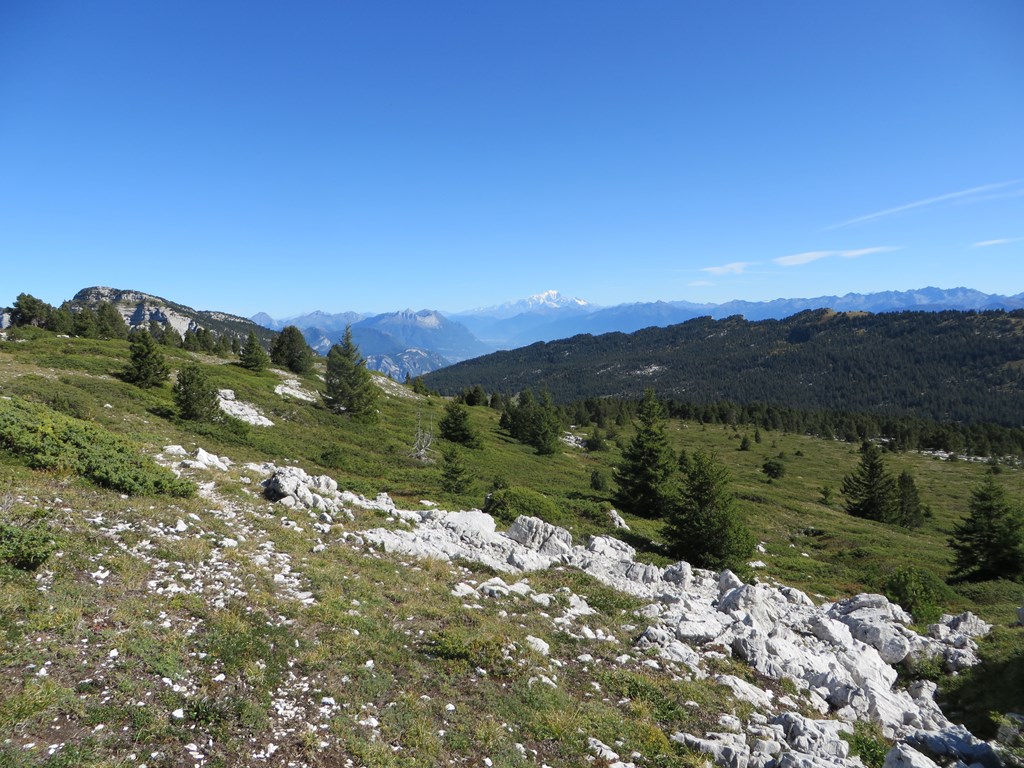 2019 09 29 Le Pinet (37).JPG