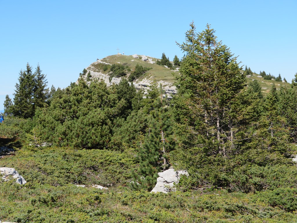 2019 09 29 Le Pinet (58).JPG