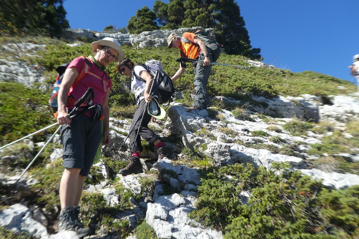 2019 09 29 Le Pinet (61).JPG