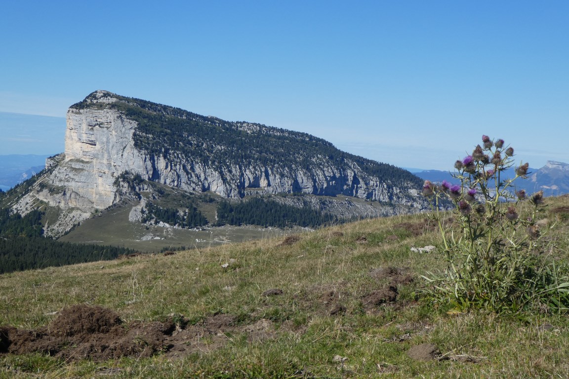 2019 09 29 Le Pinet (68).JPG